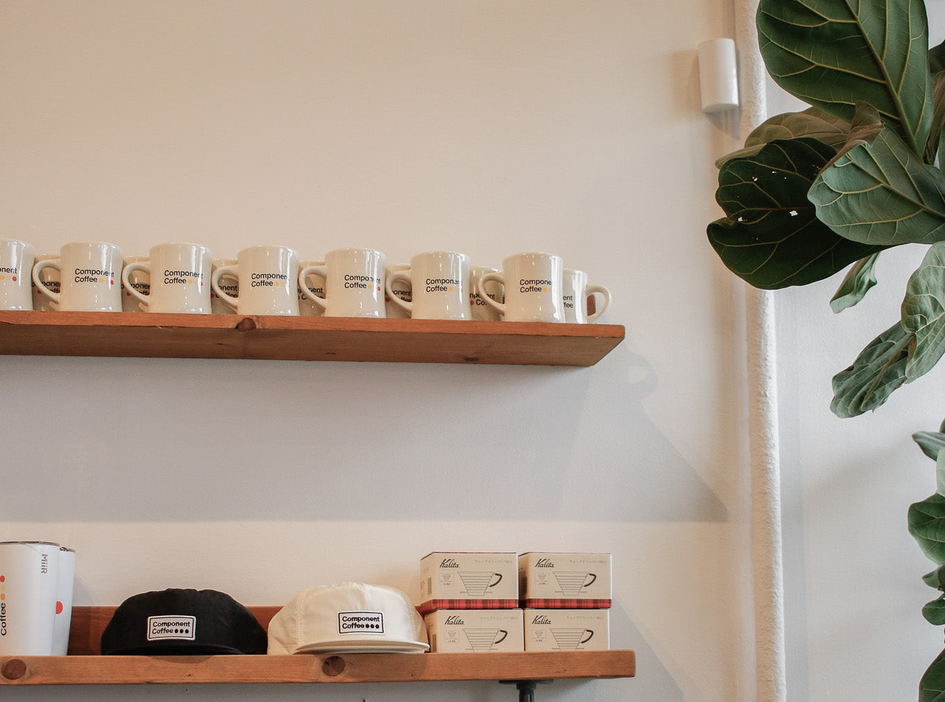 About Us – Component Coffee